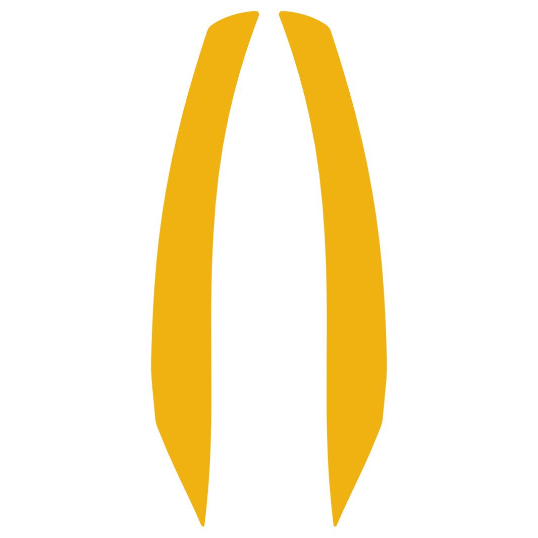 Cascade Lacrosse Helmets| Cascade Maverik