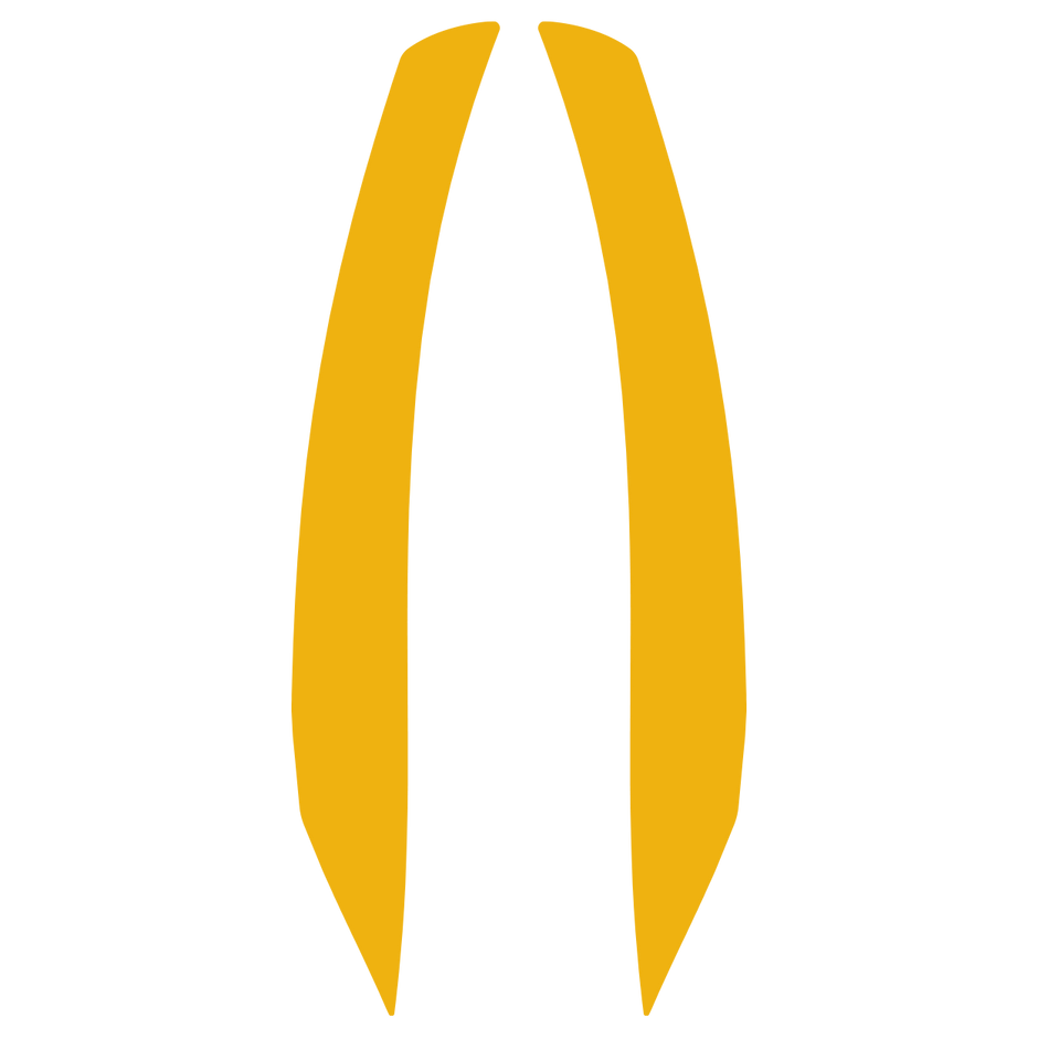 Cascade Lacrosse Helmets| Cascade Maverik